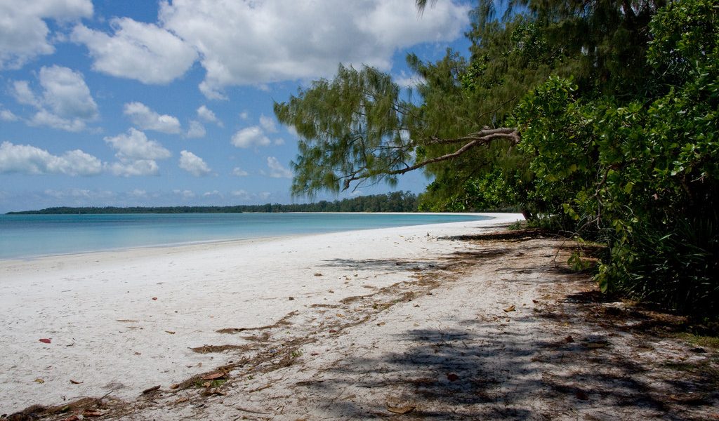 Things to do in Pemba Island - Saving Tour